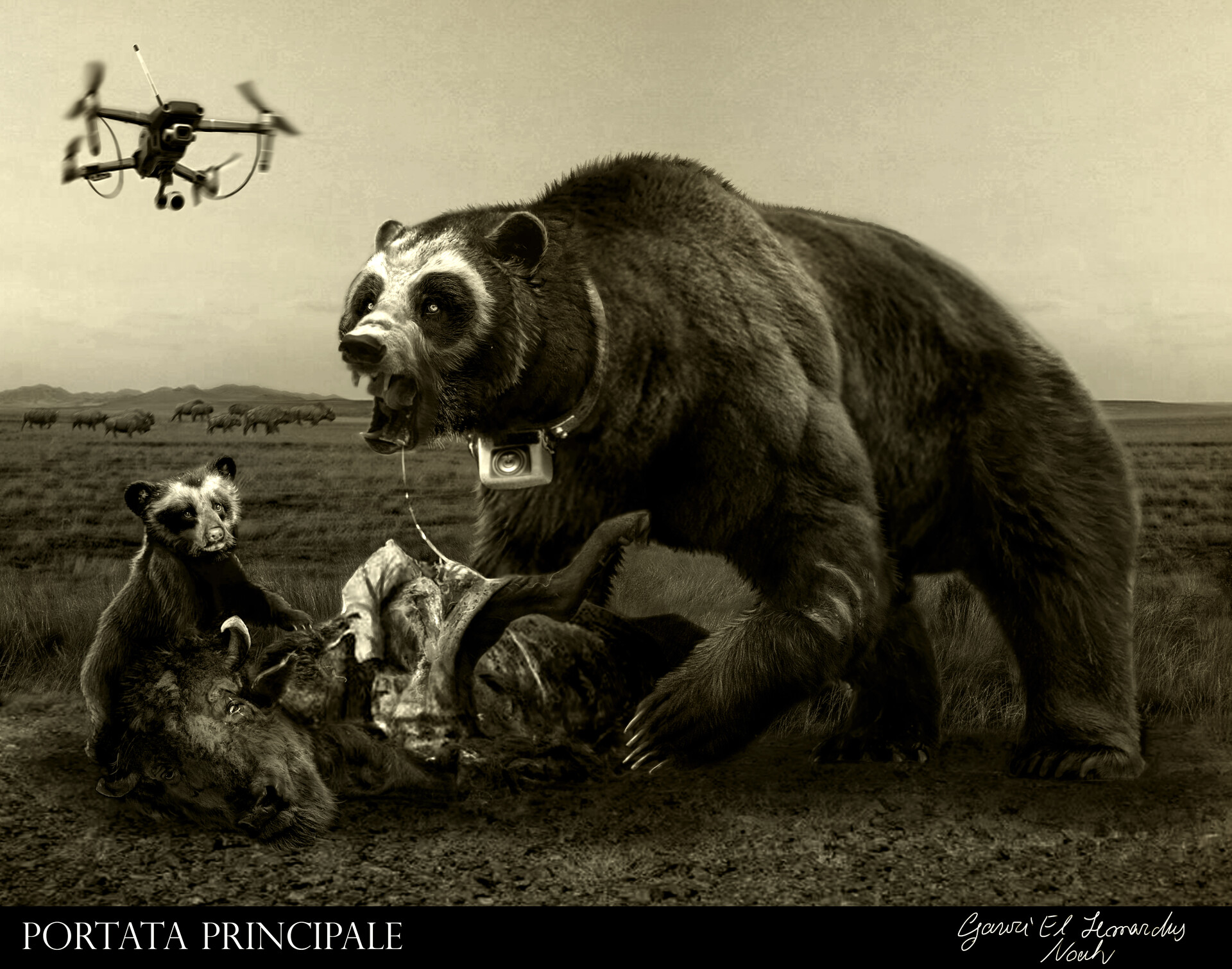 Short Faced Bear Vs Saber Tooth Sabertooth Archives Cole & Marmalade