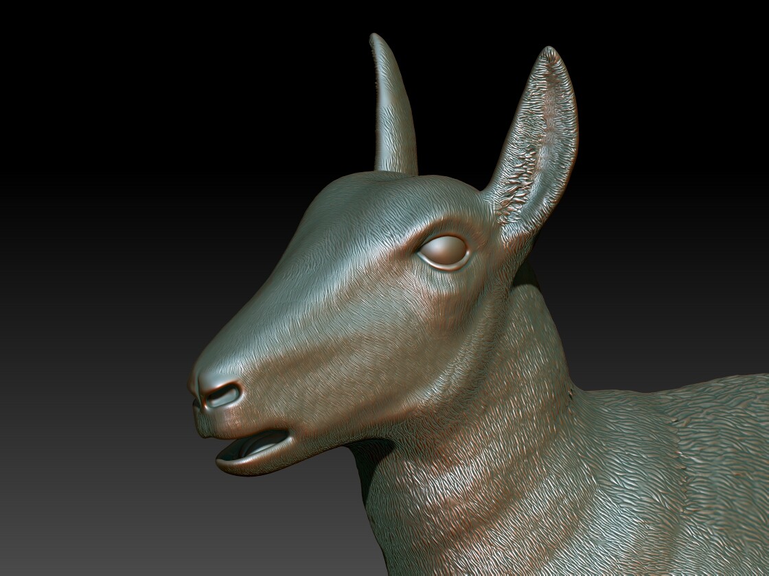 Mike Correia - Pronghorn Model