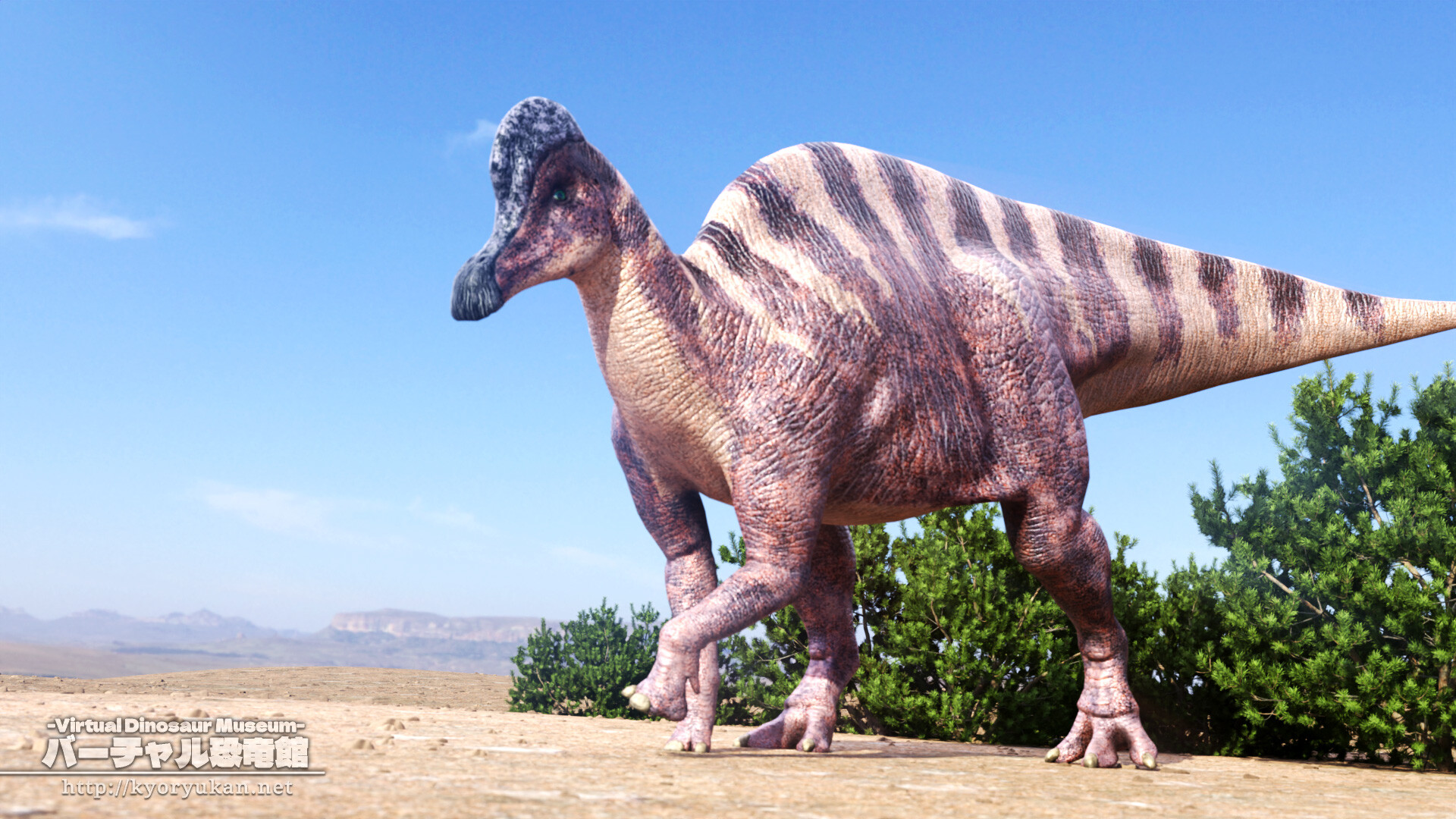 Kakeru Fujimiya - Magnapaulia