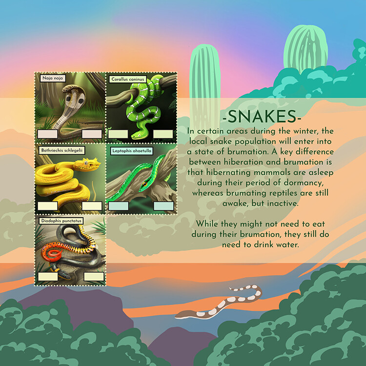 ArtStation - IGPC- Snake 5 Stamp Pack