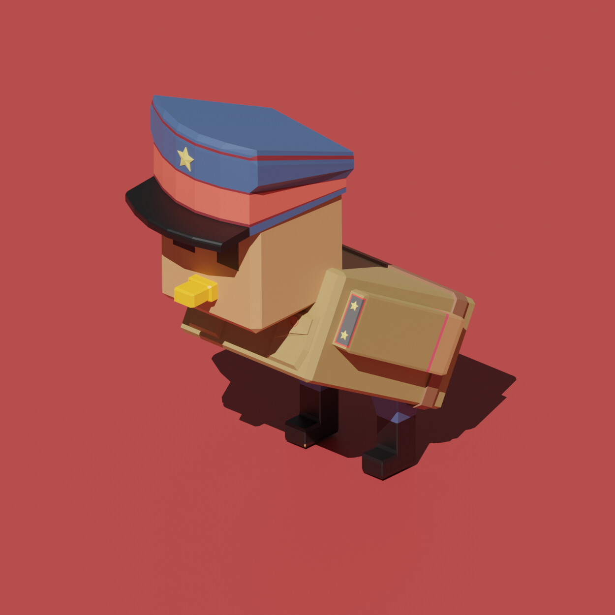 Nicolás Eckholt - Bird collection