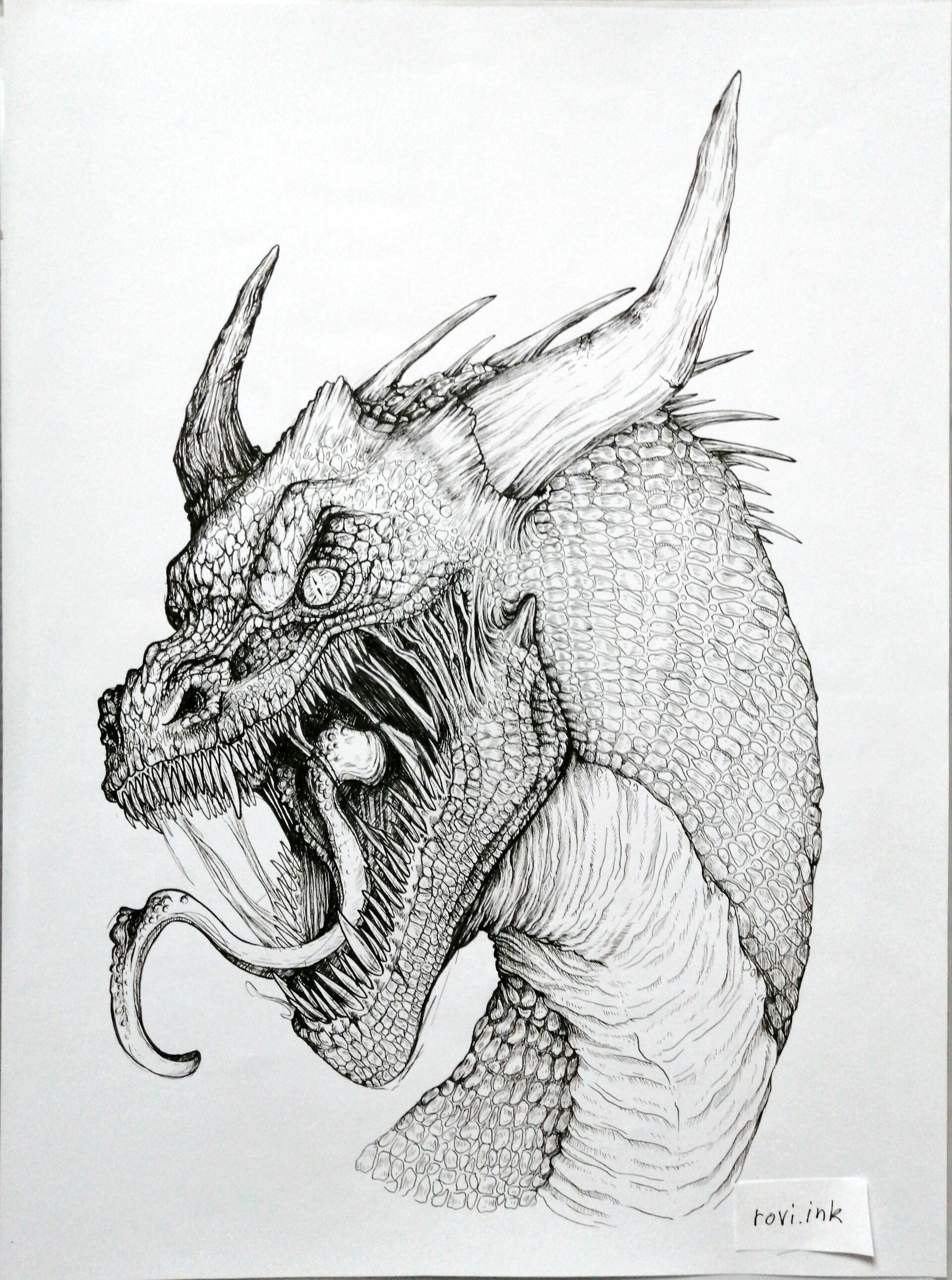 Dragon Skull Drawing