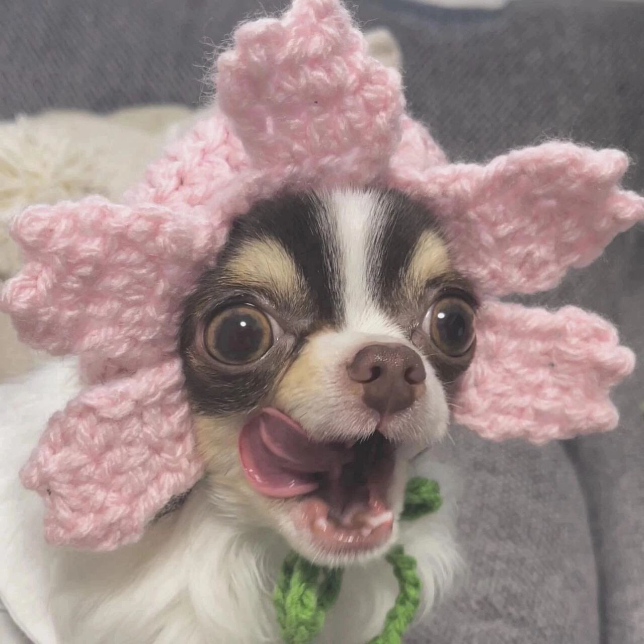 Max Orlov - ЗЛЮКА