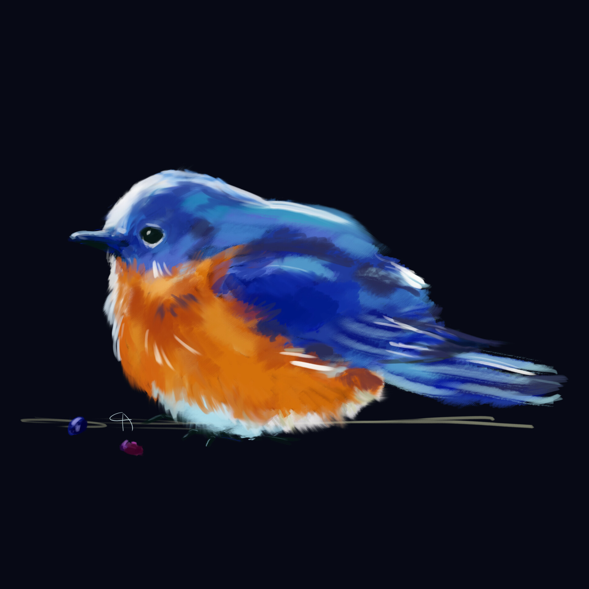 ArtStation - Blue puffy bird