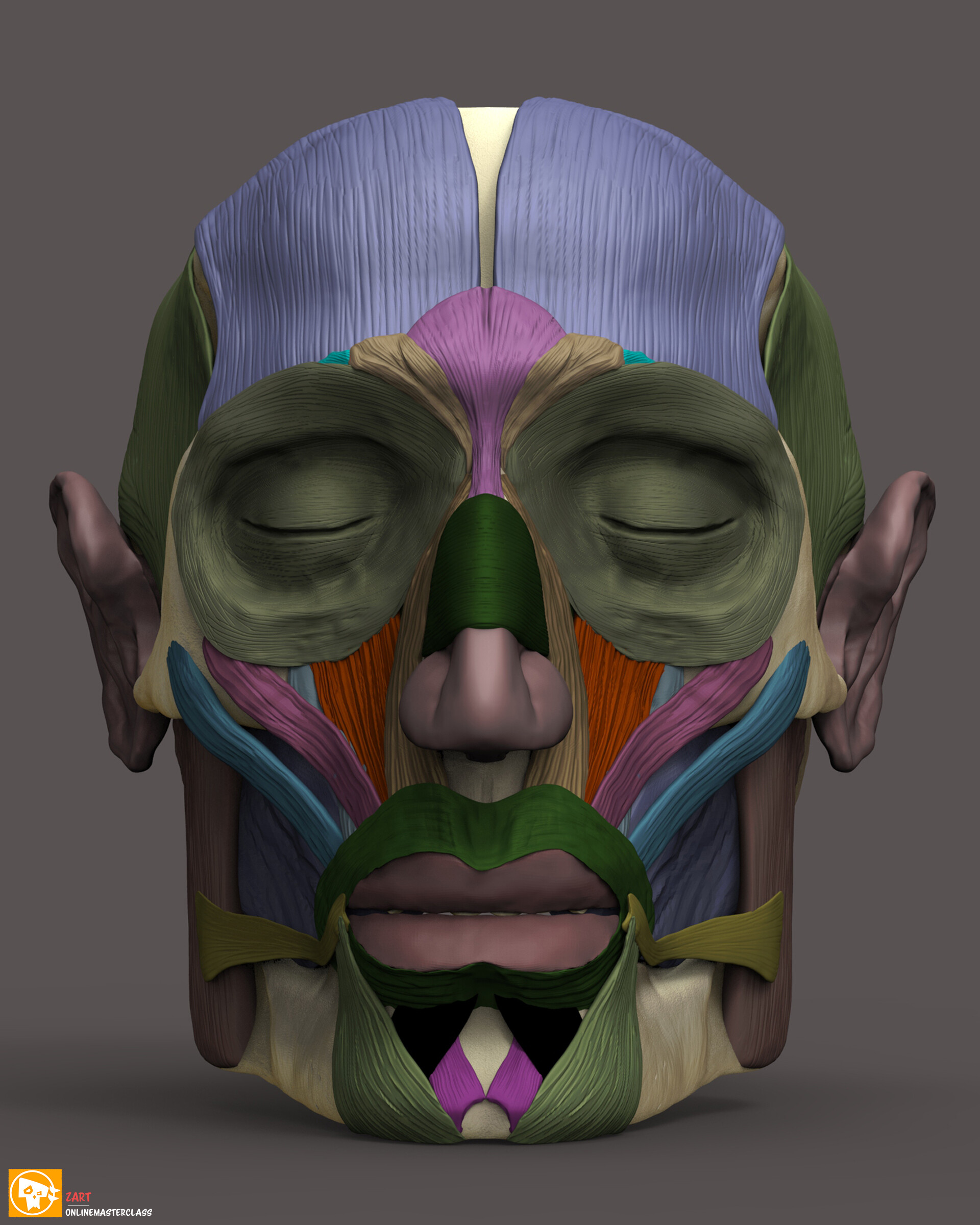 ArtStation - Facial muscle