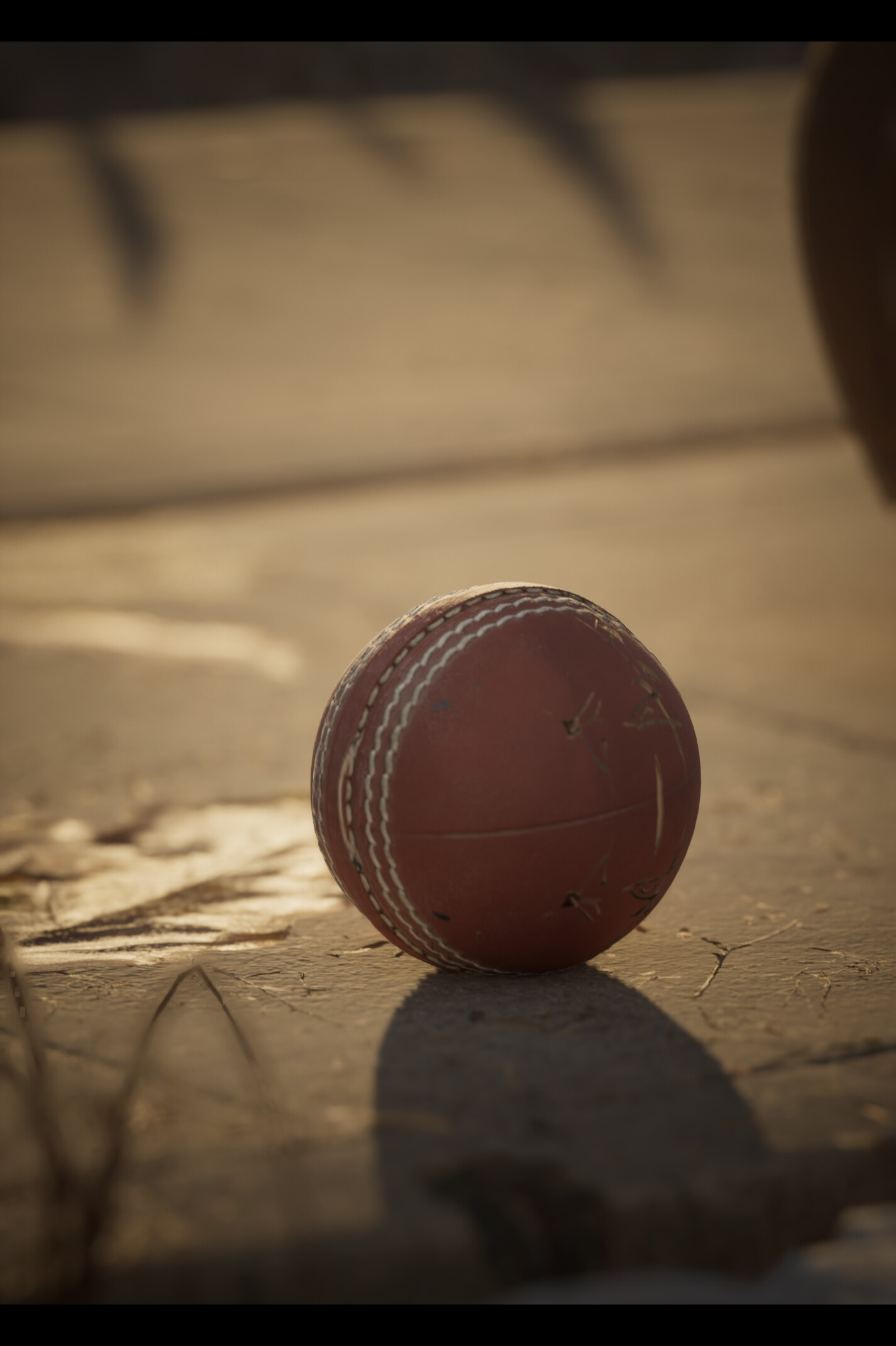 ArtStation - Cricket