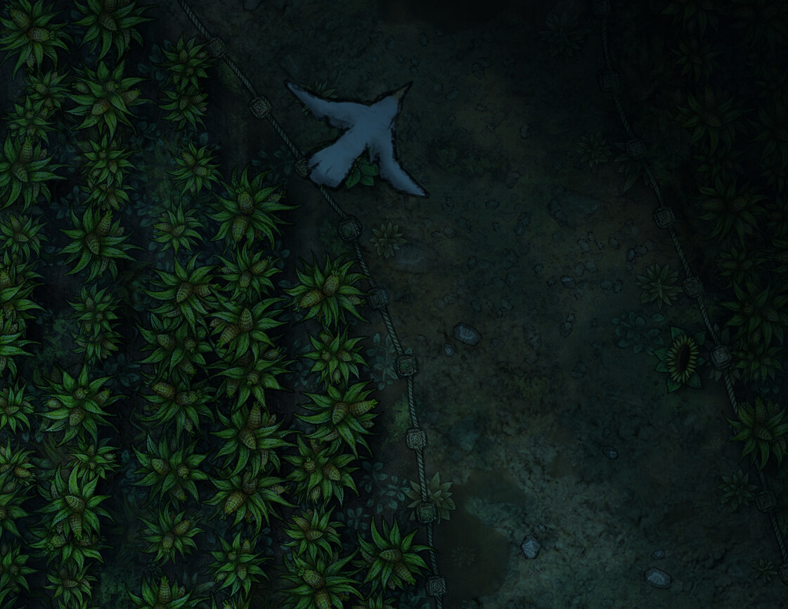 Detailed Dungeons - Butterskull Ranch (Cornfield) (Night)