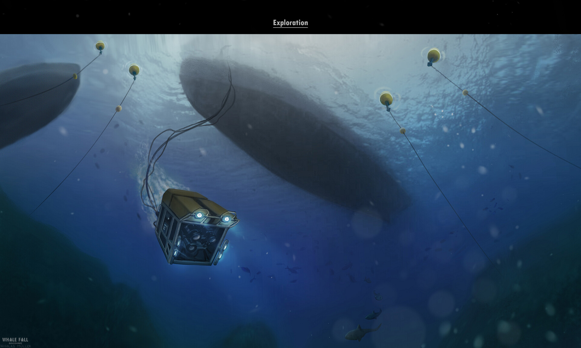 Nicolas Müller - Keyframes - Whale Fall Discovery