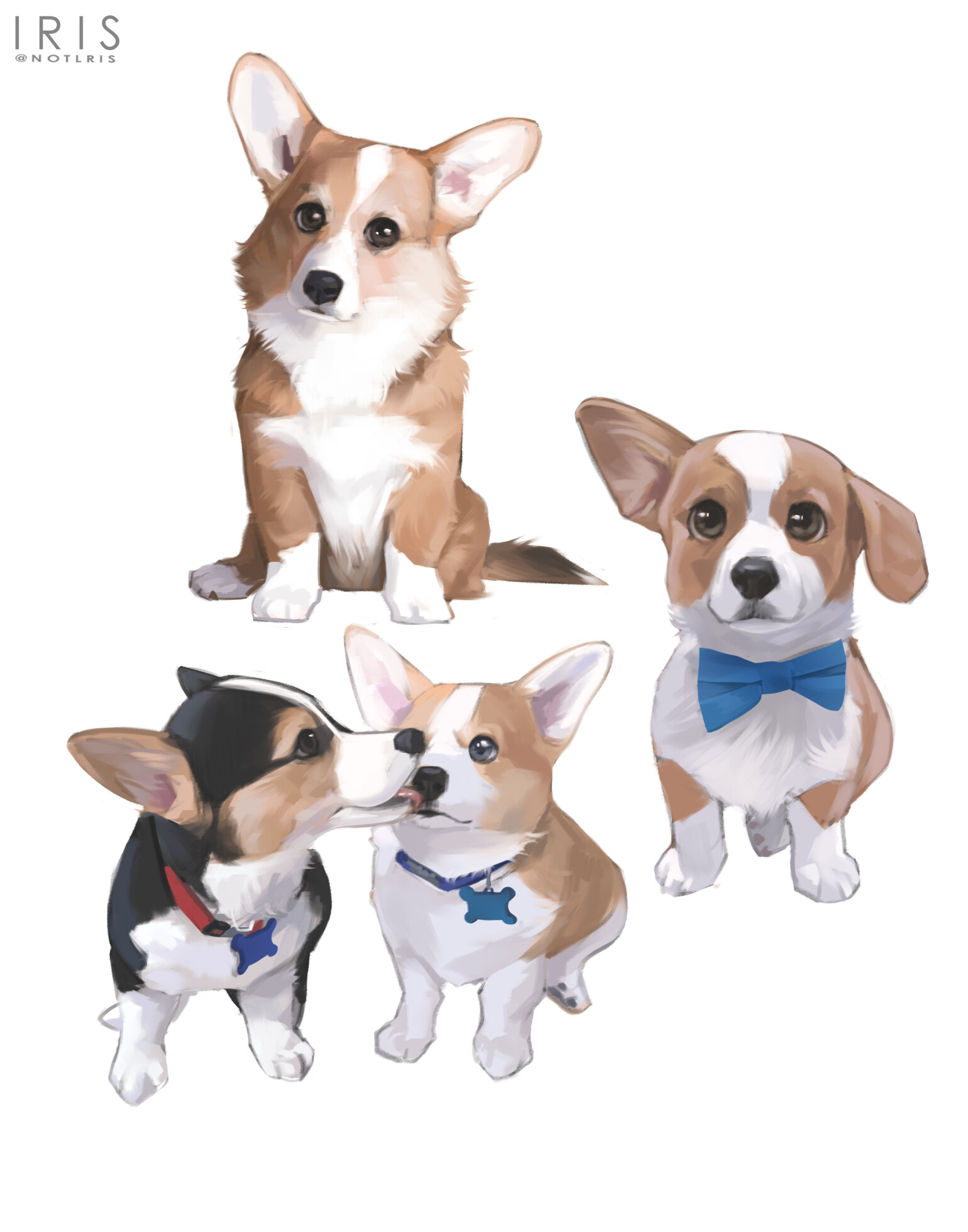 ArtStation - corgis