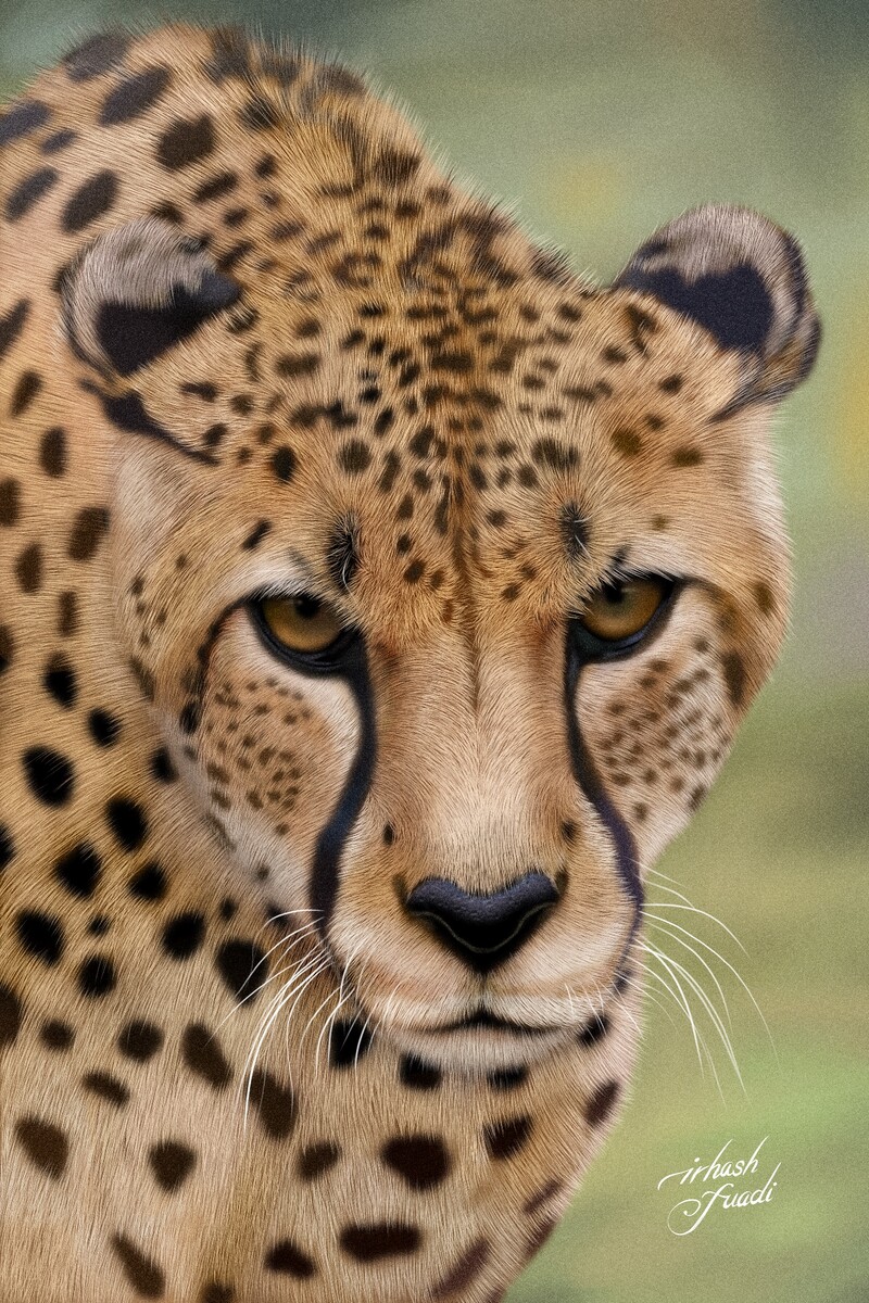 ArtStation - Irhash Fuadi