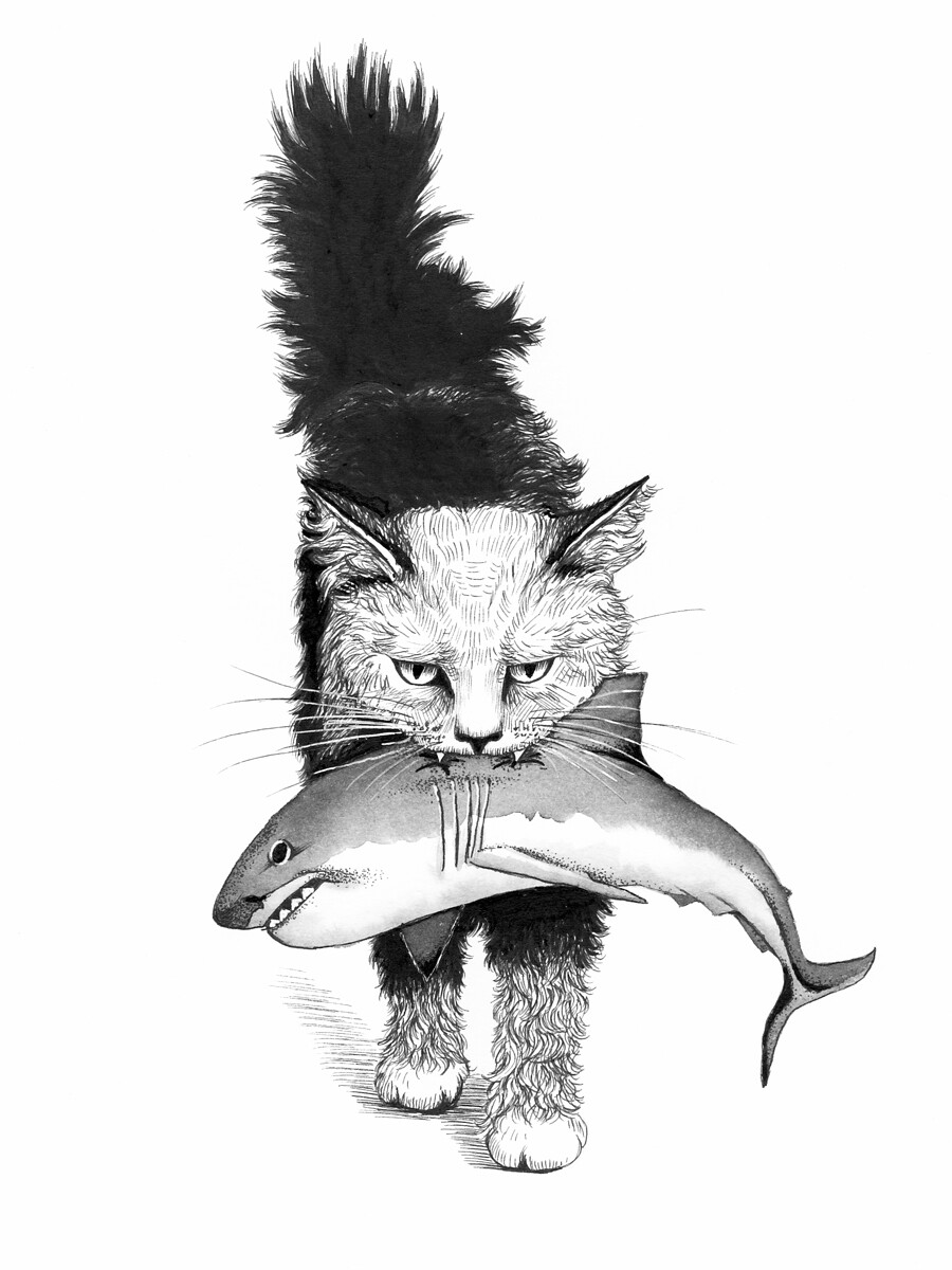 ArtStation - Shark catching Cat