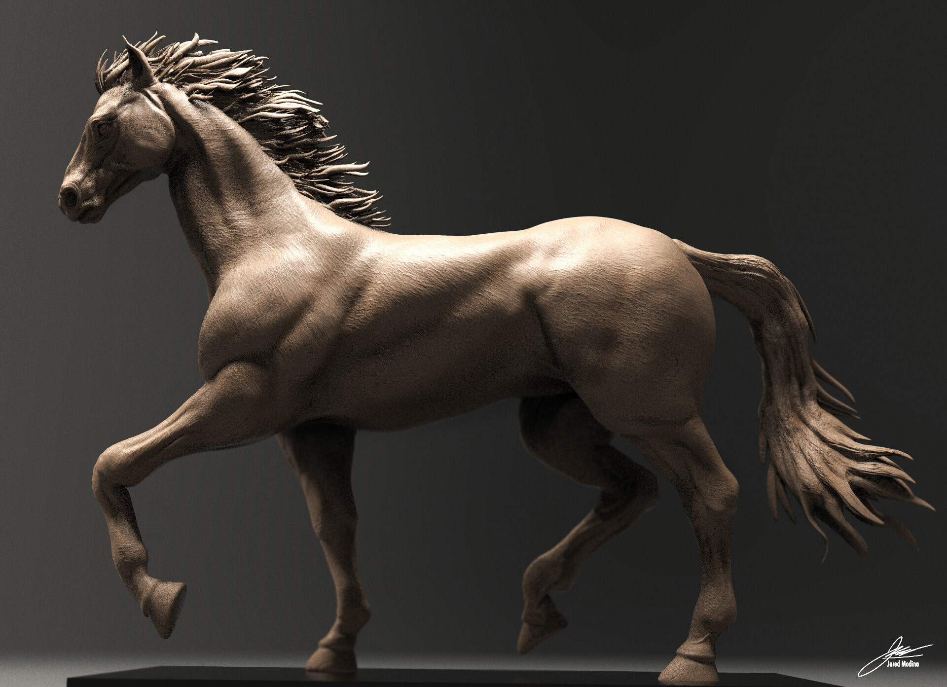 ArtStation - Horse Study