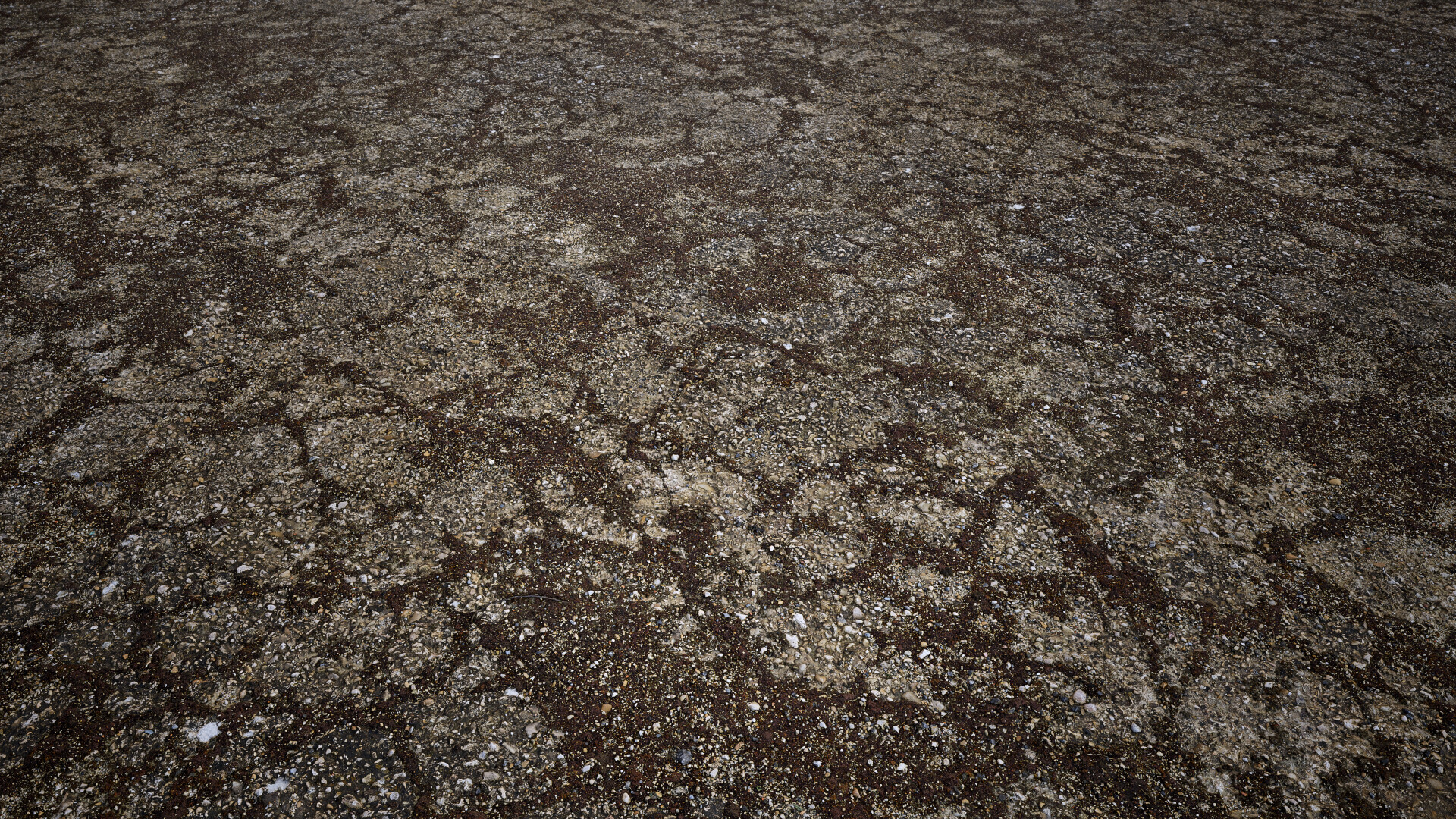 J.Emmanuel Thomas - Concrete Mossy Photogrammetry