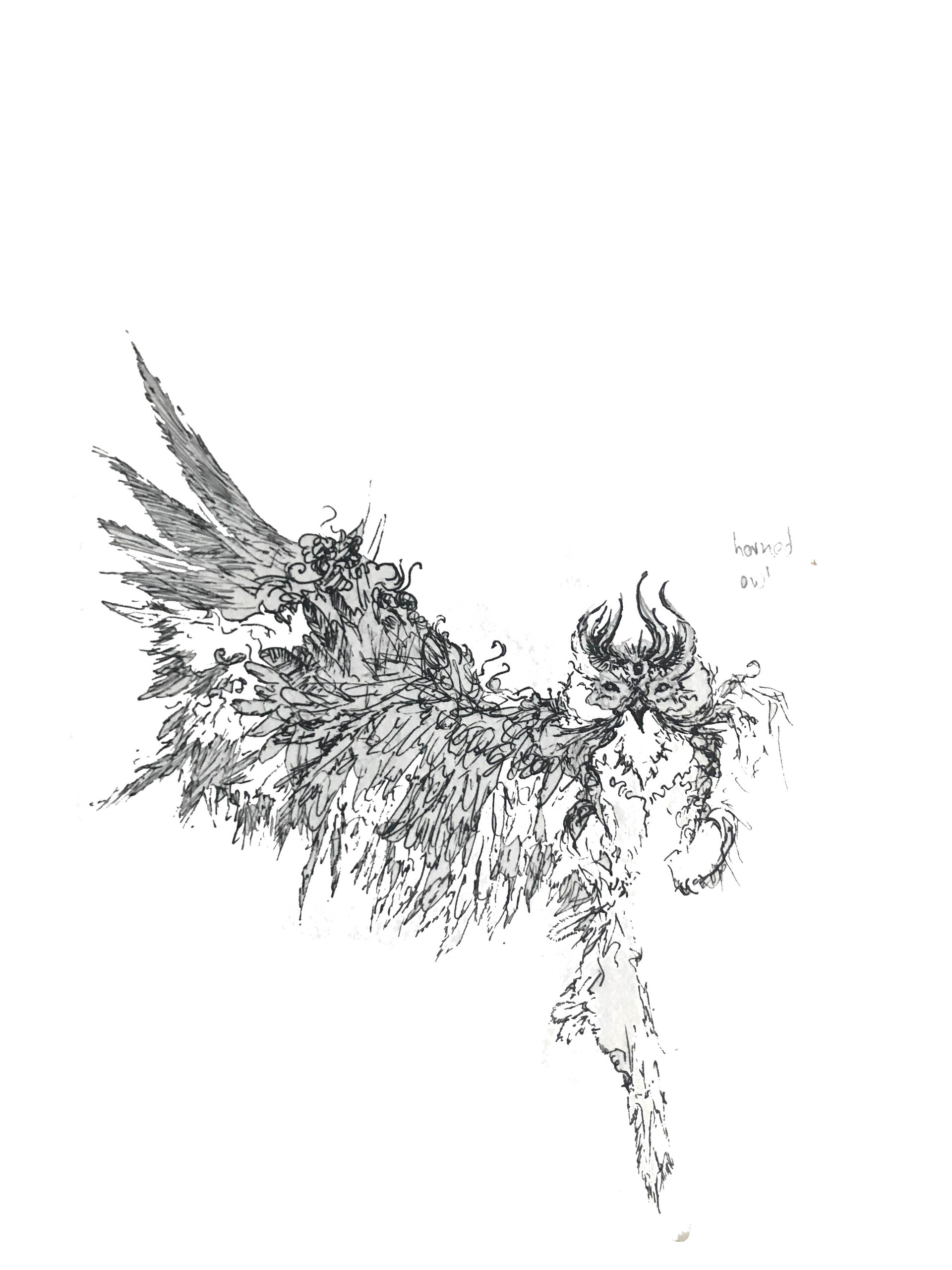 ArtStation - Owl in Ink