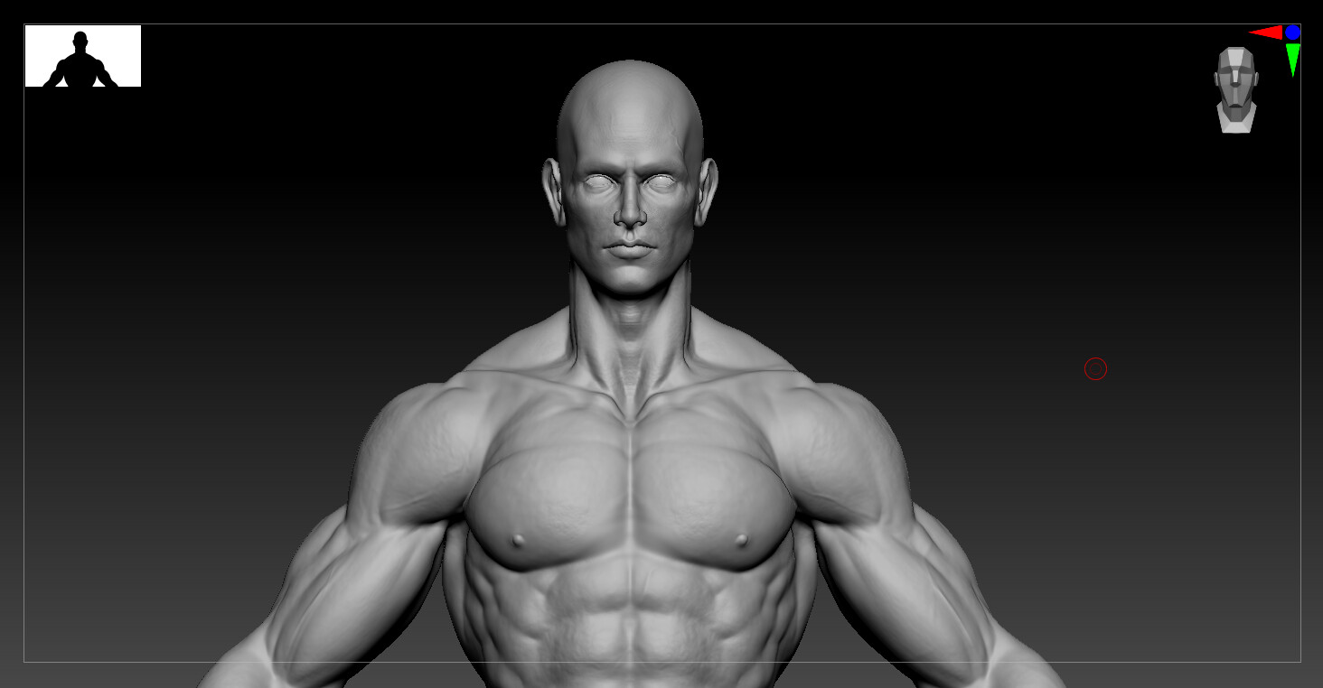 ArtStation - male anatomy