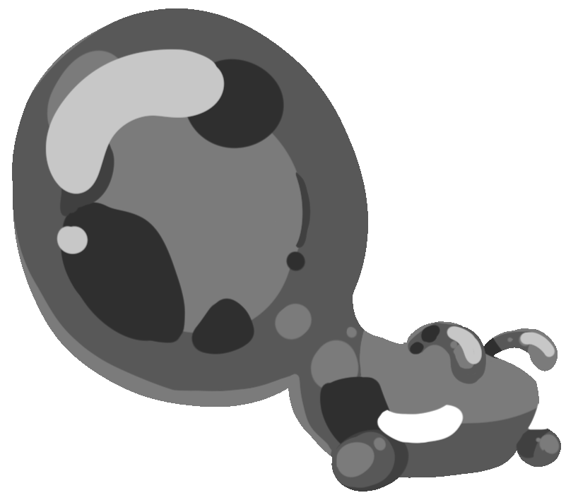 checkpoint animations