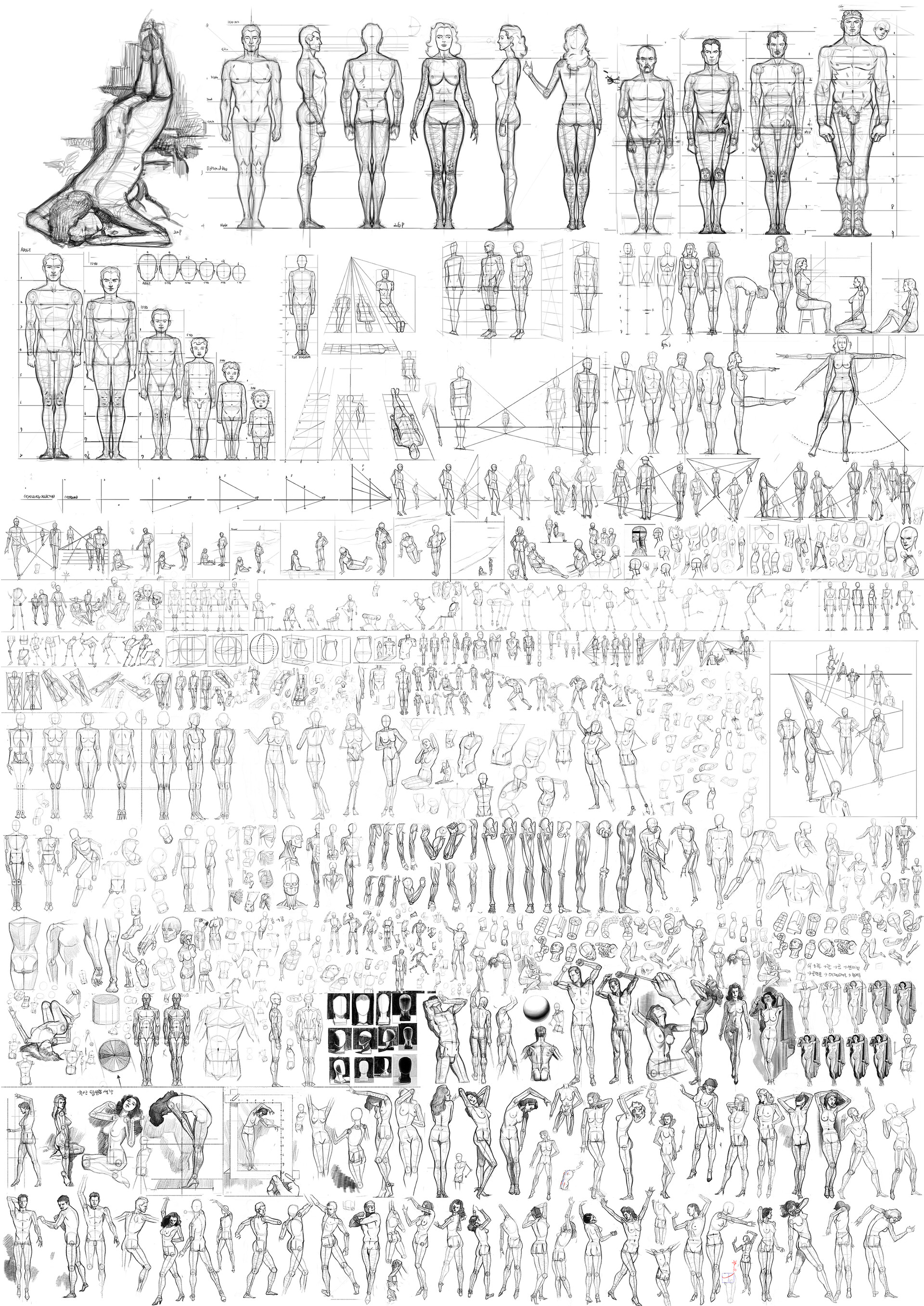 ArtStation - Drawing study.