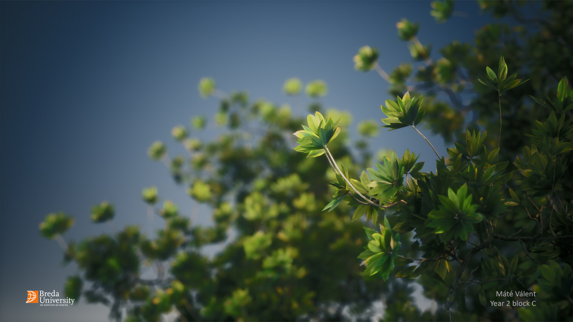 ArtStation - Environment vegetation research by Máté Válent