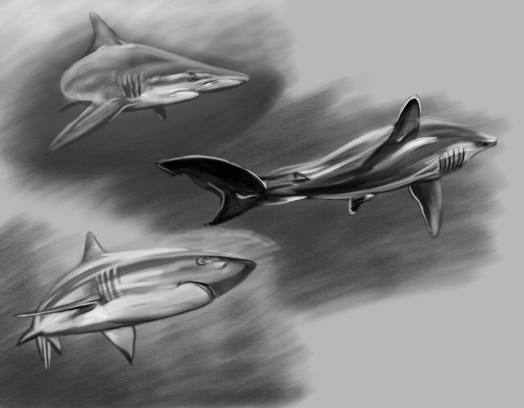 ArtStation - Shark Studies 3
