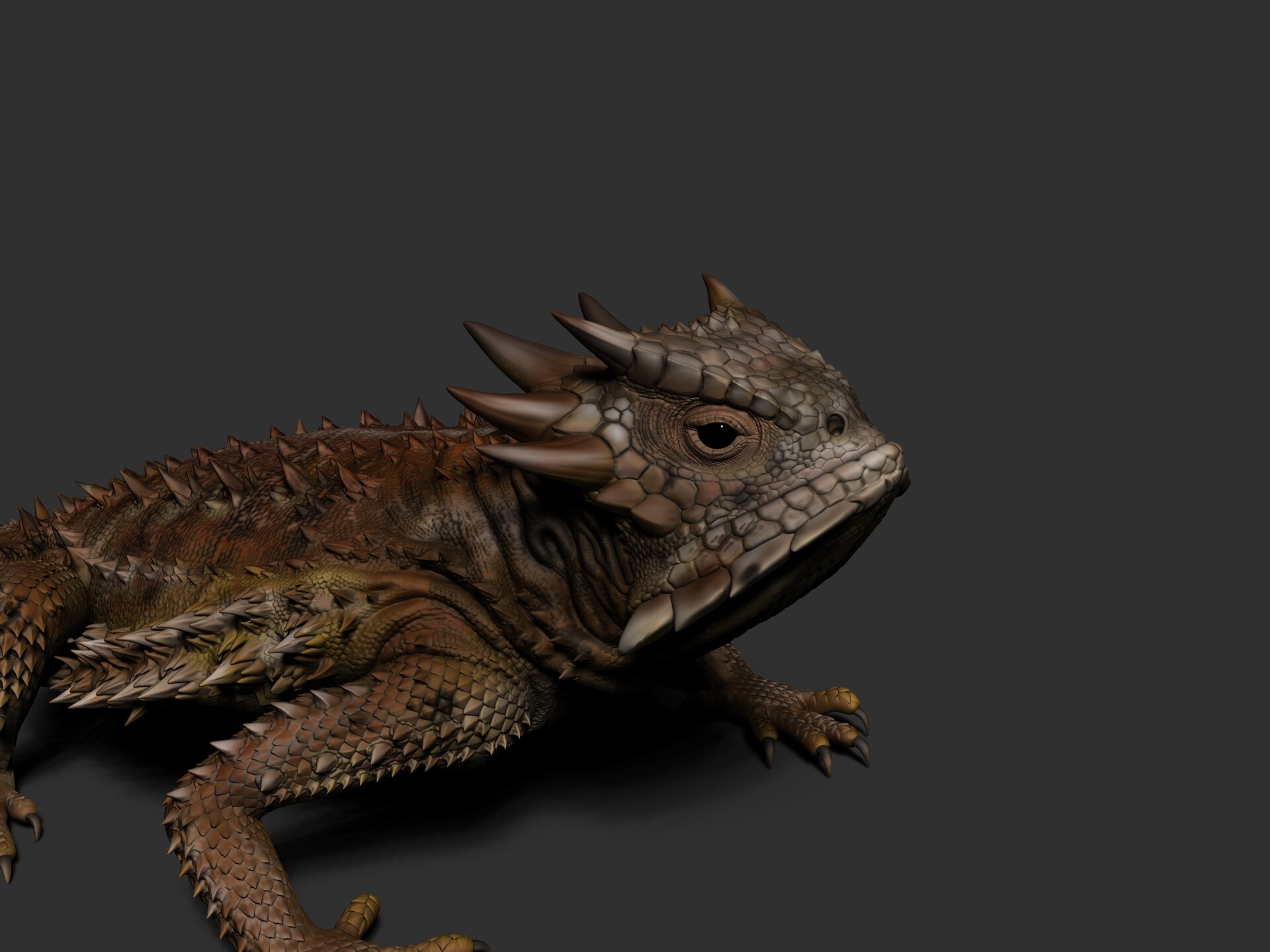 ArtStation - Horned Lizard
