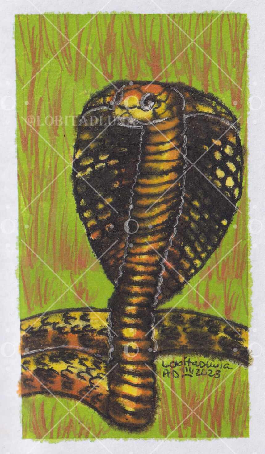 ArtStation - King Cobra