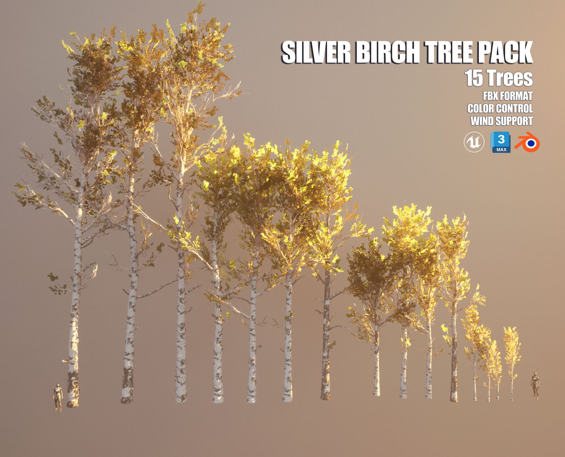 ArtStation - Silver Birch Tree Kit