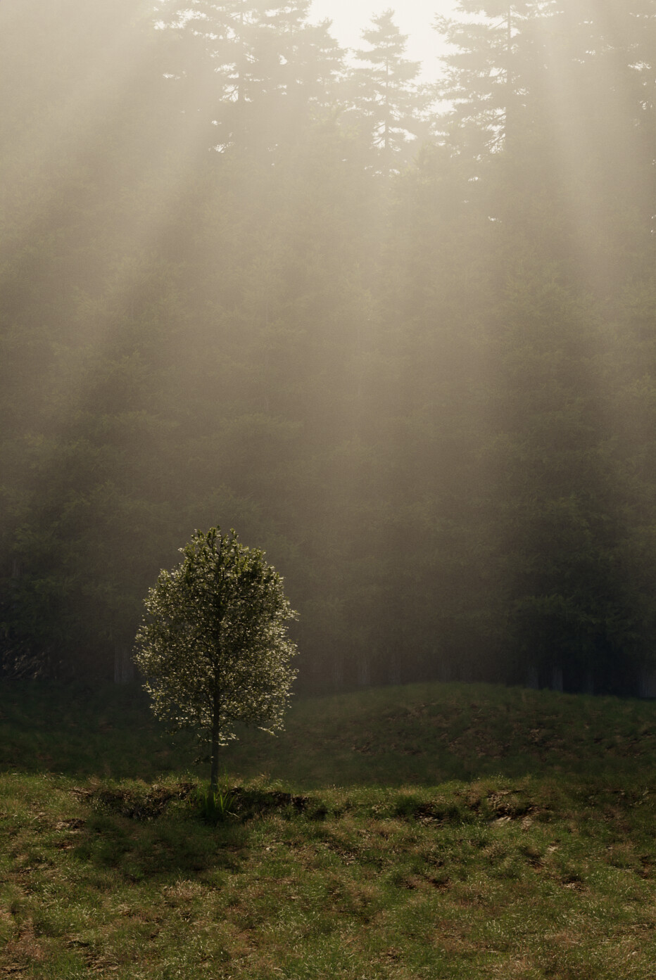 ArtStation - Scene: nature with tree and sun rays
