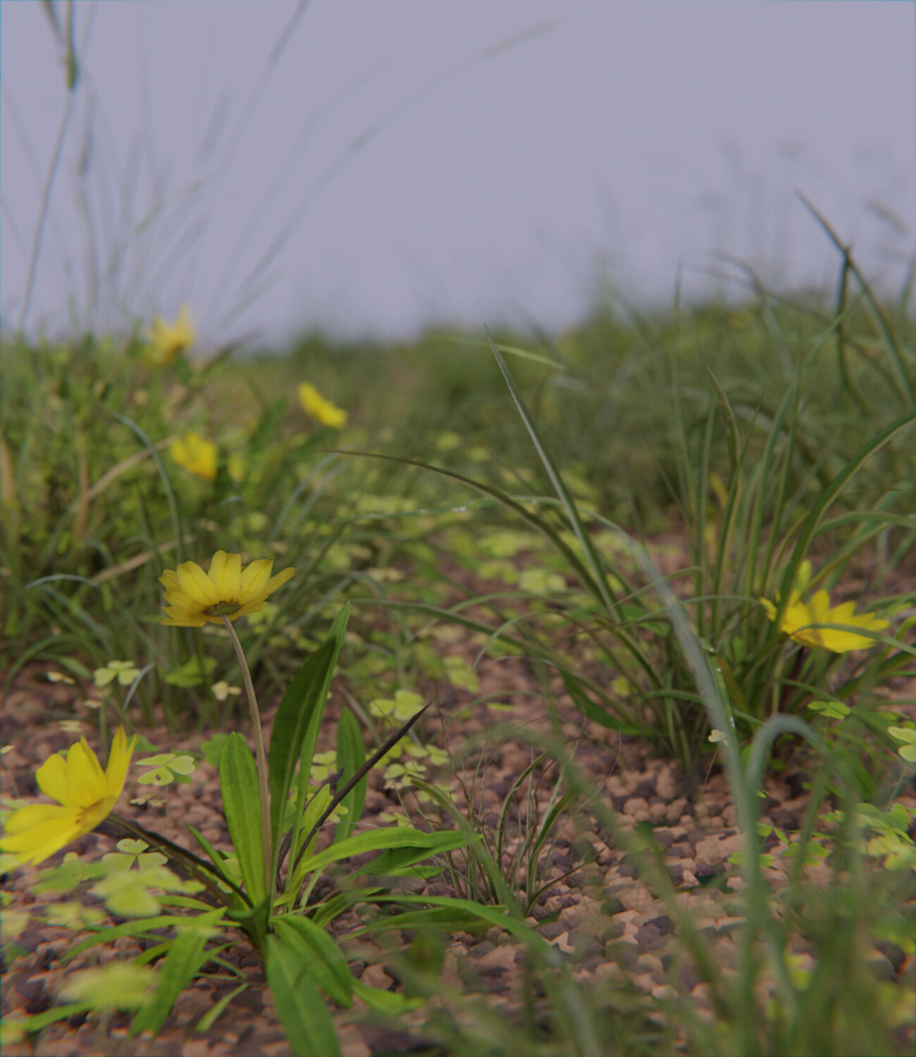 ArtStation - Patch of Grass