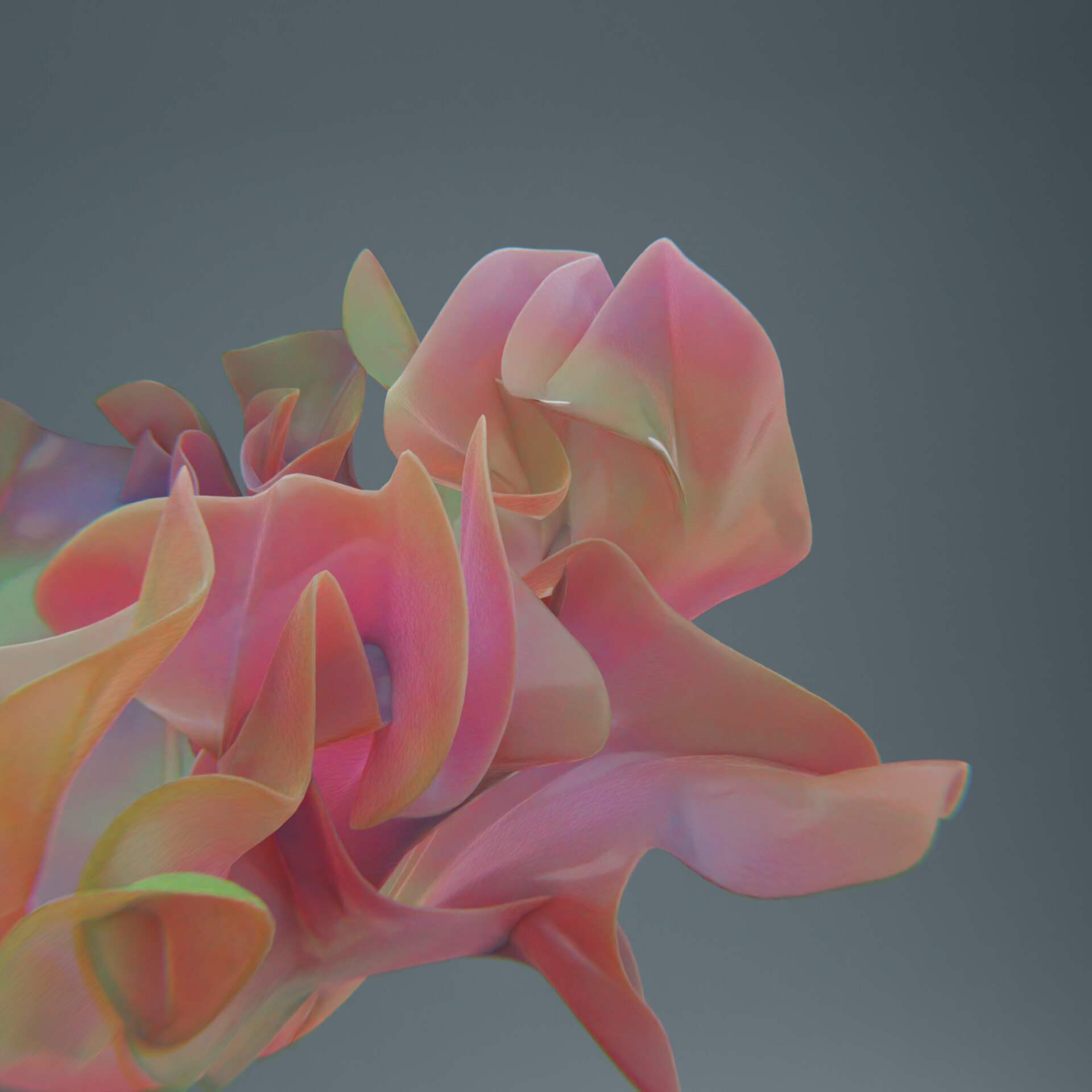 ArtStation - Differential Growth Stills