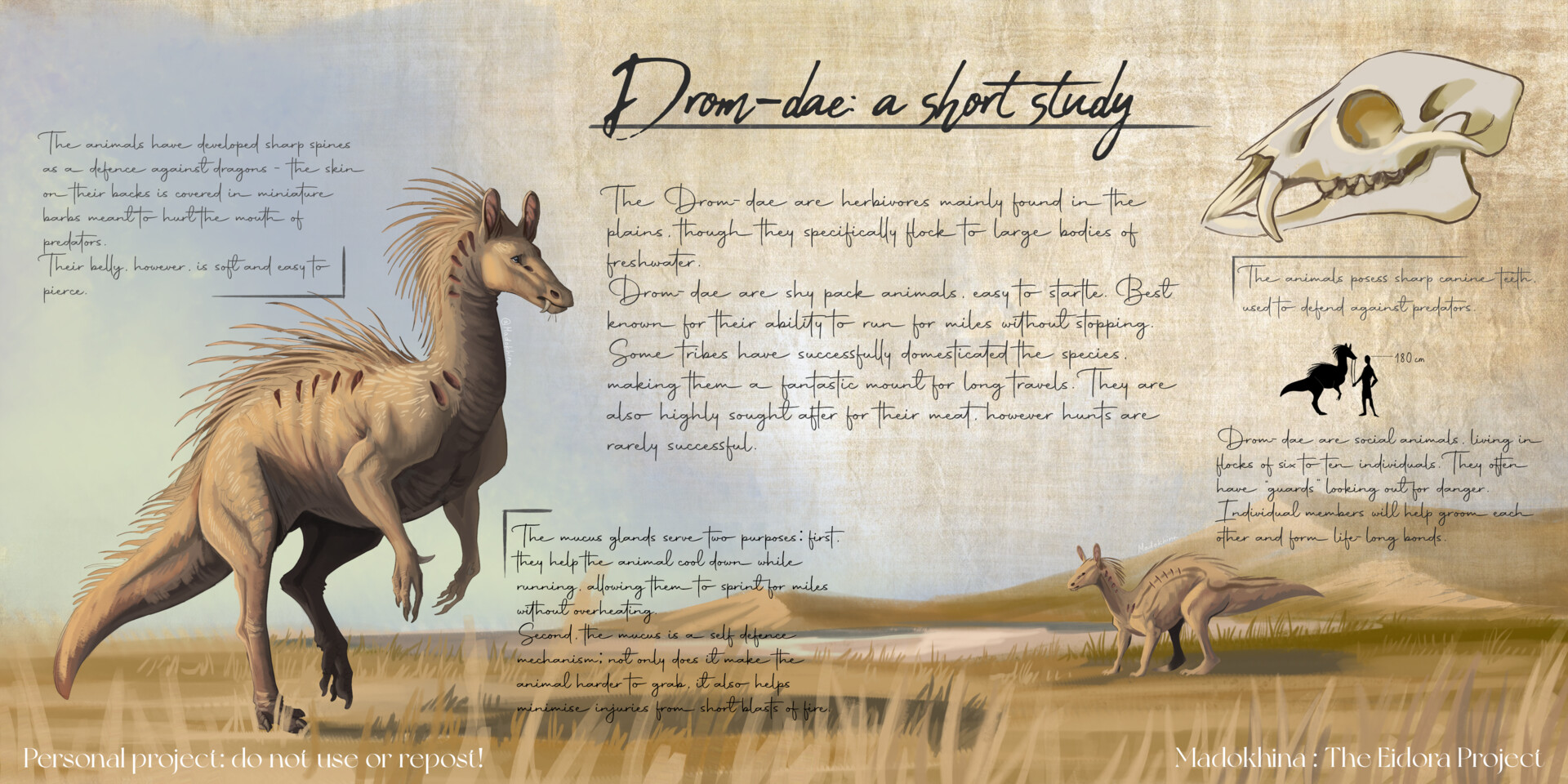 ArtStation - Drom-dae: creature study