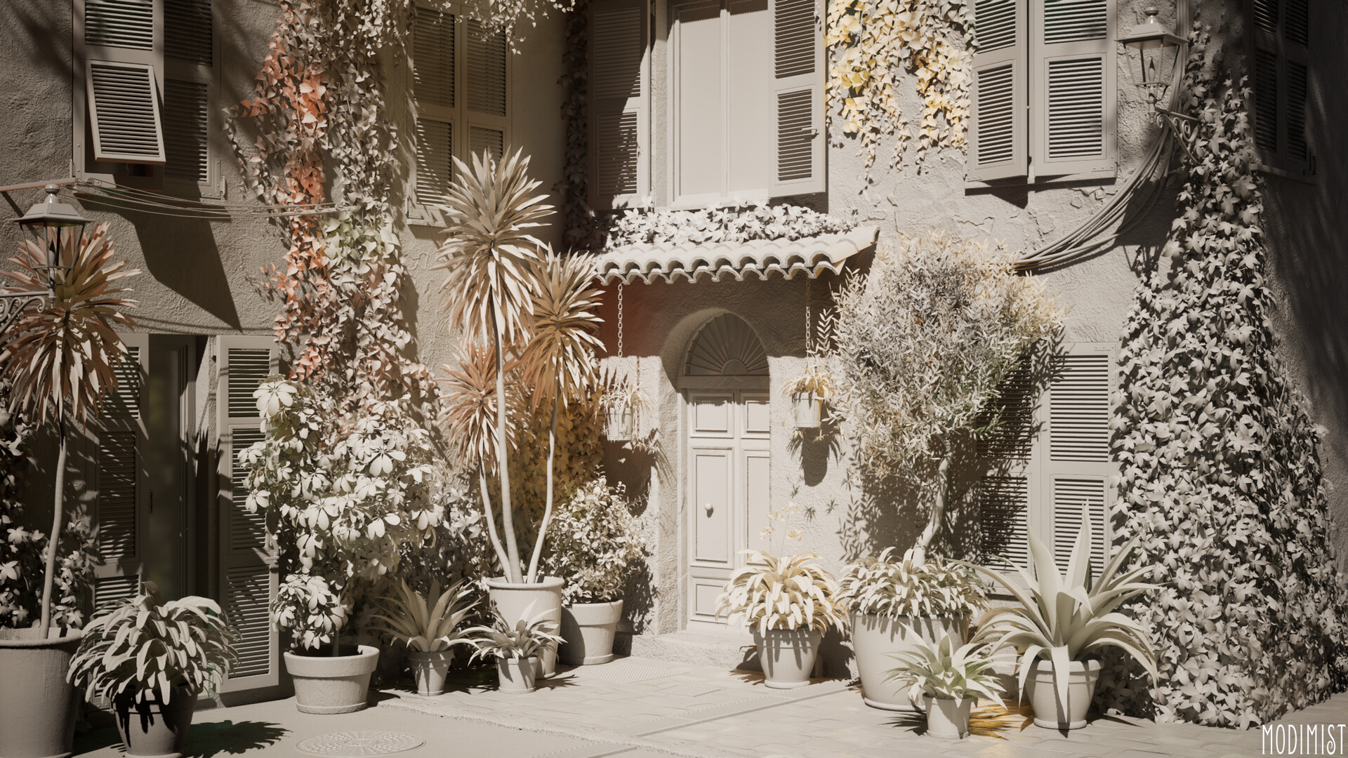 John Enderle - Italian environment foliage practice 1