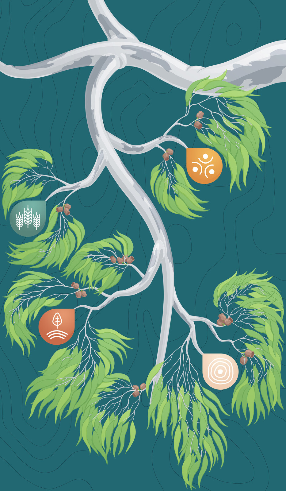 Melinda F - Freshwater Village Precinct Map Illustration