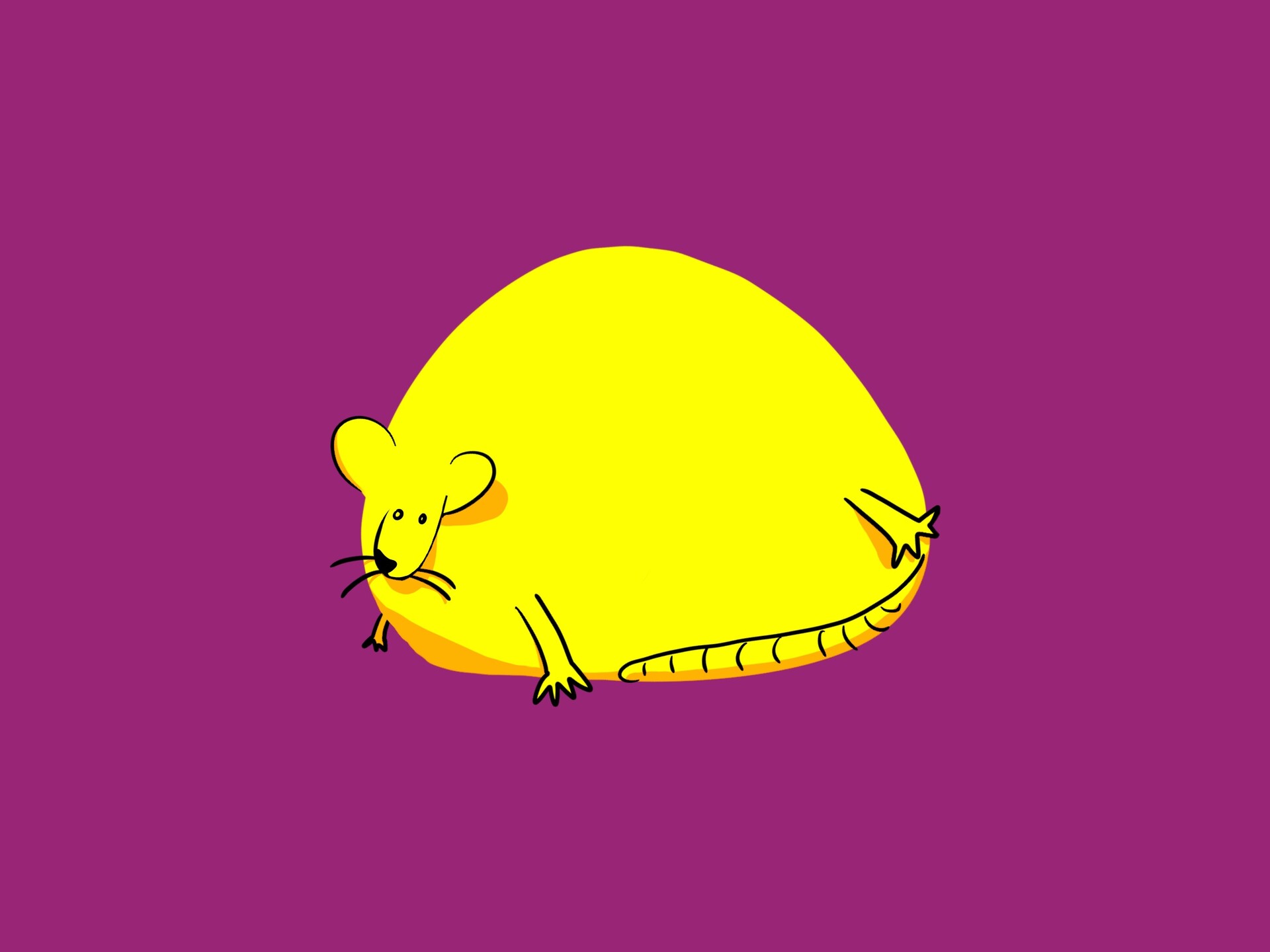 how to draw a fat rat