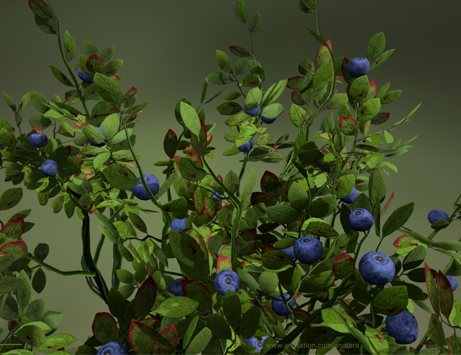 ArtStation - Northern berries