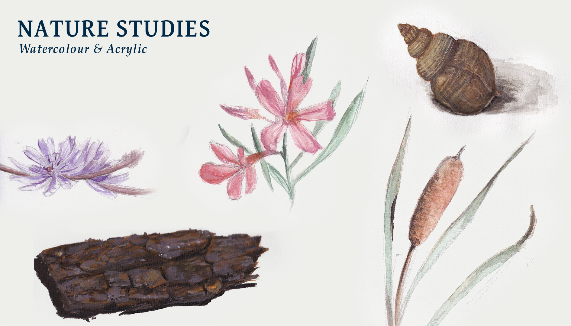 ArtStation - Nature studies