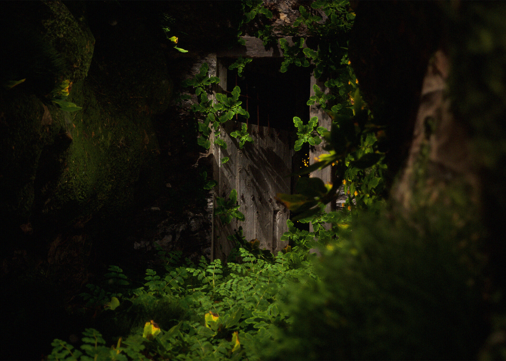 Justin Adams - Overgrown