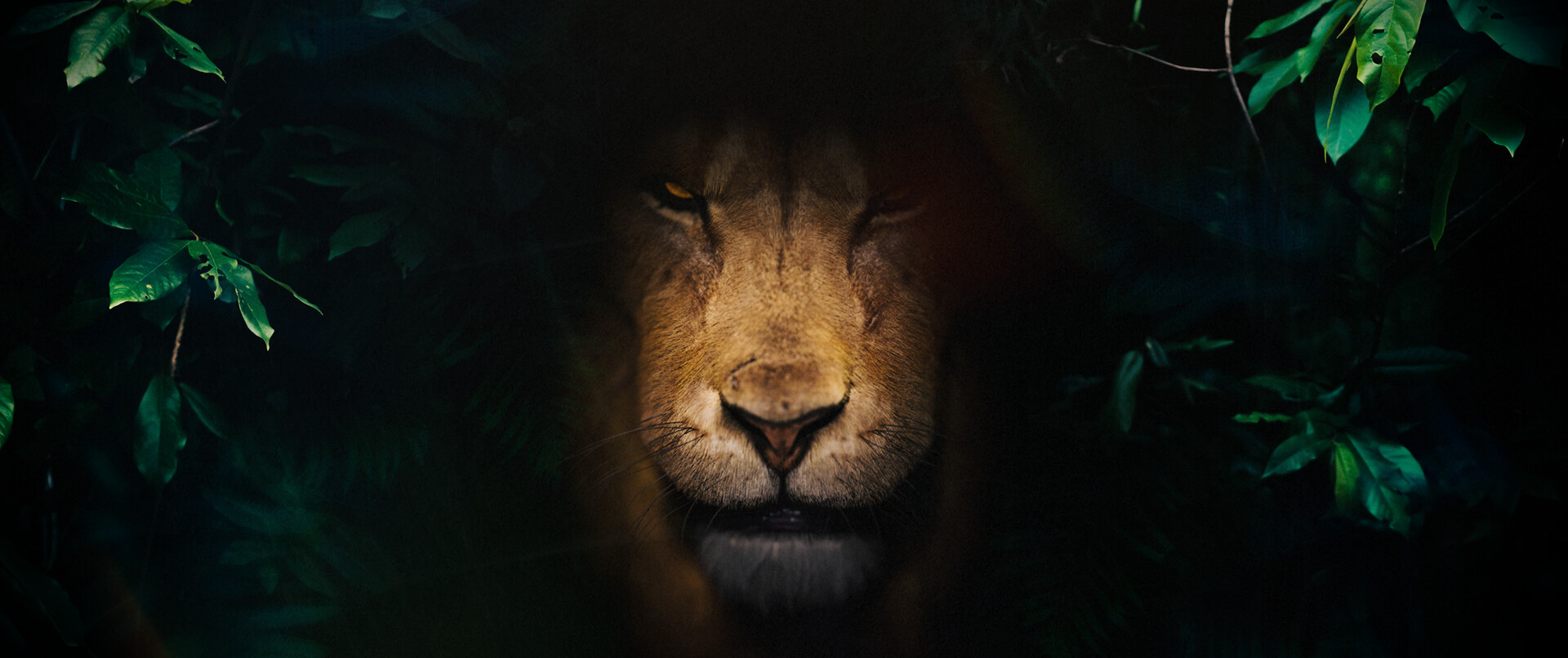 ArtStation - Predator - Lion