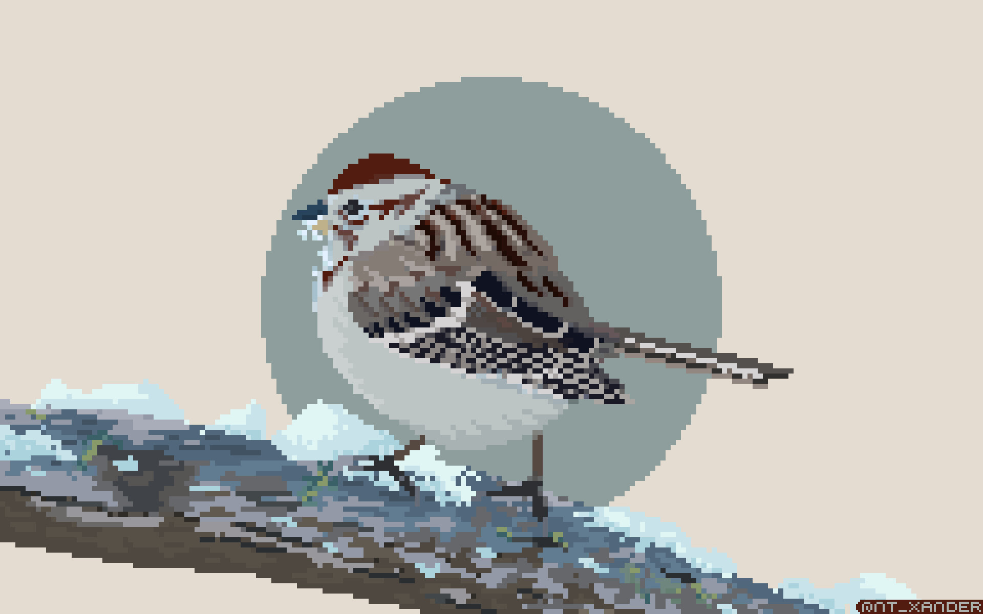 ArtStation - Pixel Sparrow