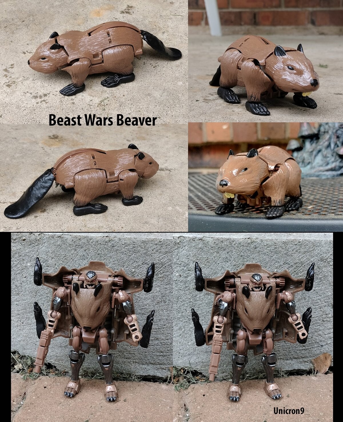 TJ Wilferd - Bunch of Critter and Creature Custom Beast Wars Figures