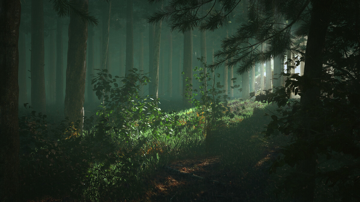 ArtStation - Deep in the woods