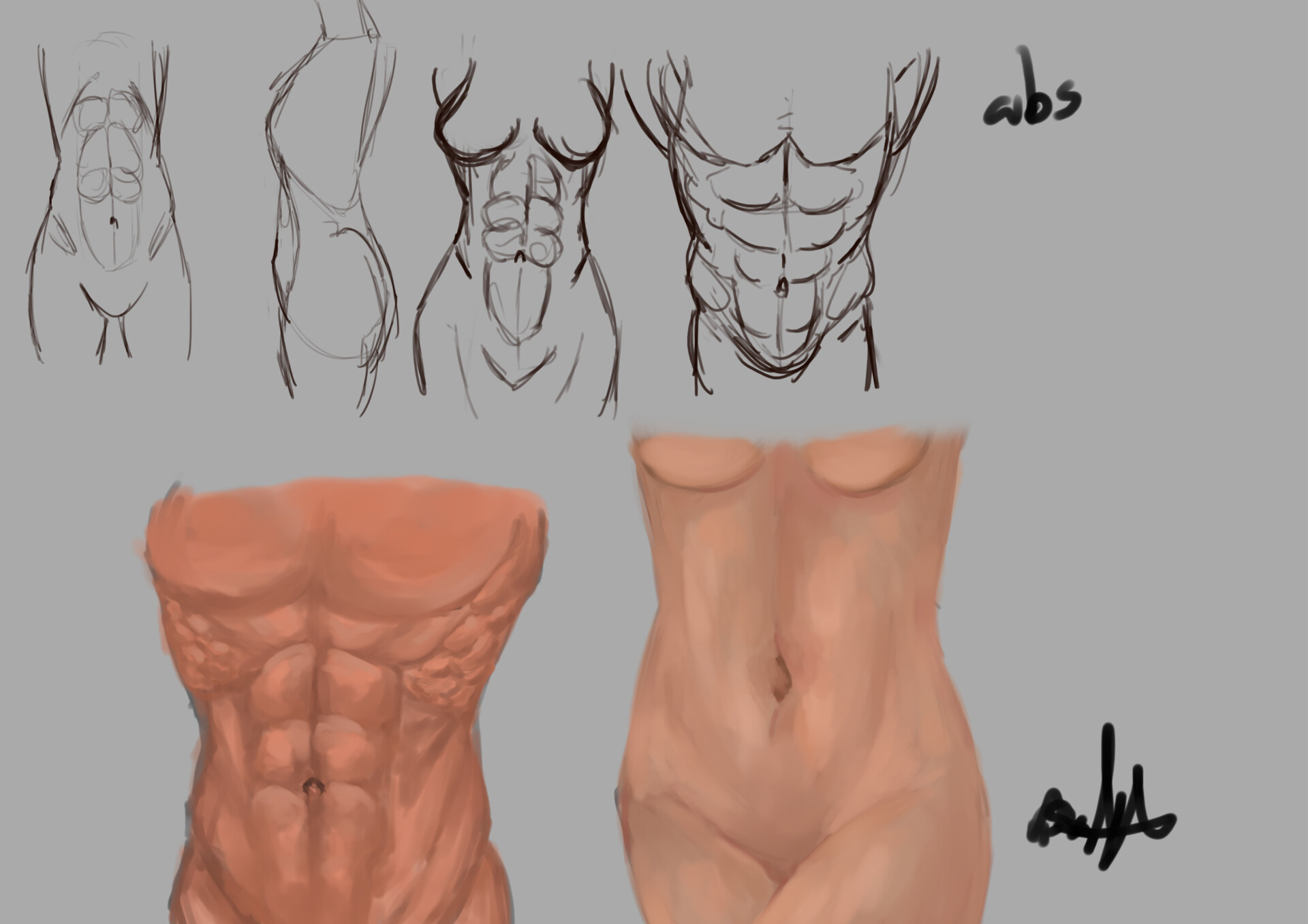 ArtStation - anatomy practice with sinix design videos