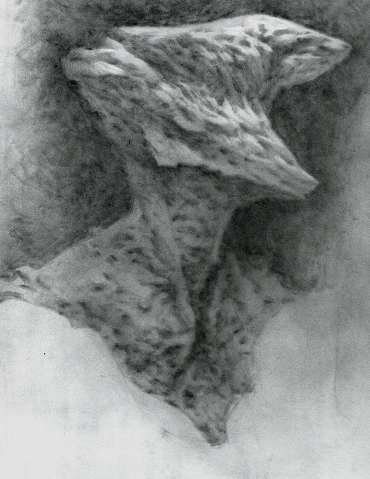 Lucas Kremer - Creatures and such.