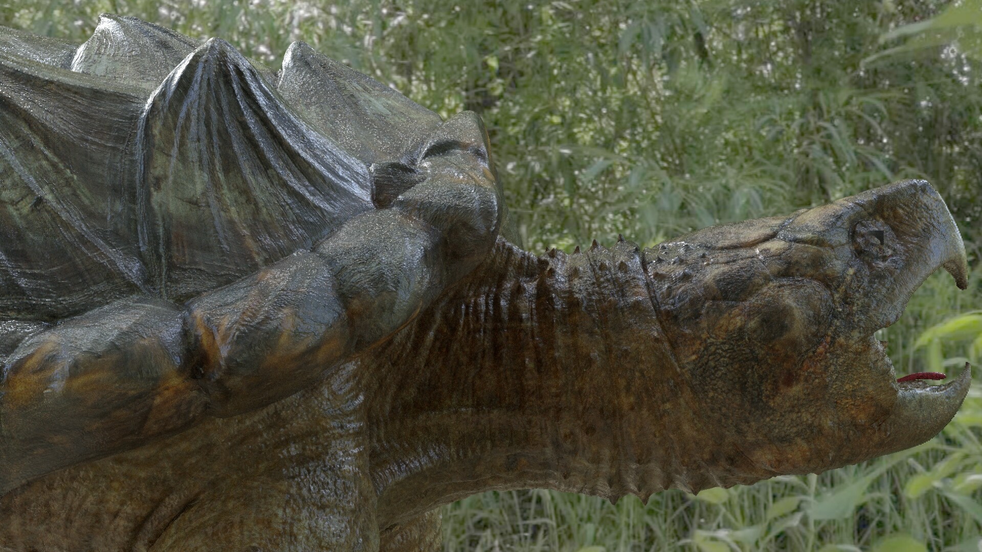 ArtStation - Snapping Turtle