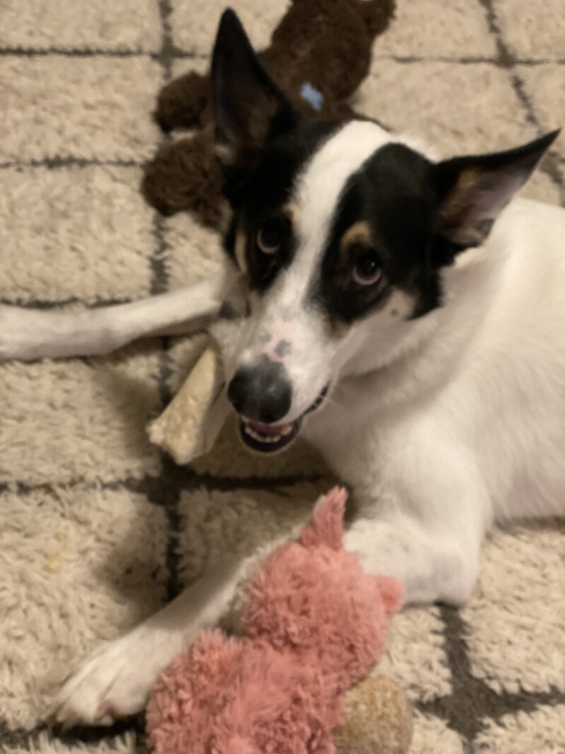 ArtStation - Alexander Hermansson