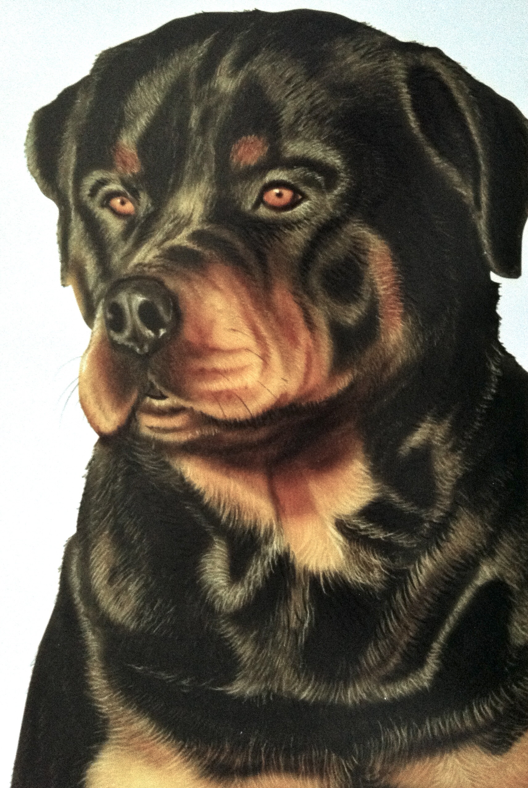 ArtStation - Big Dog Portrait