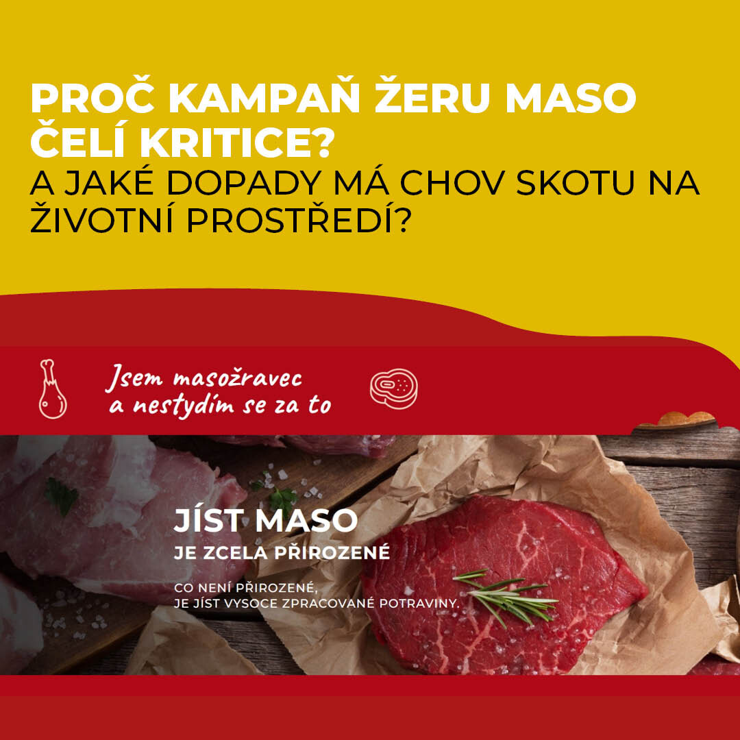 ArtStation - IG post - "I Eat Meat" campaign and the environmental ...