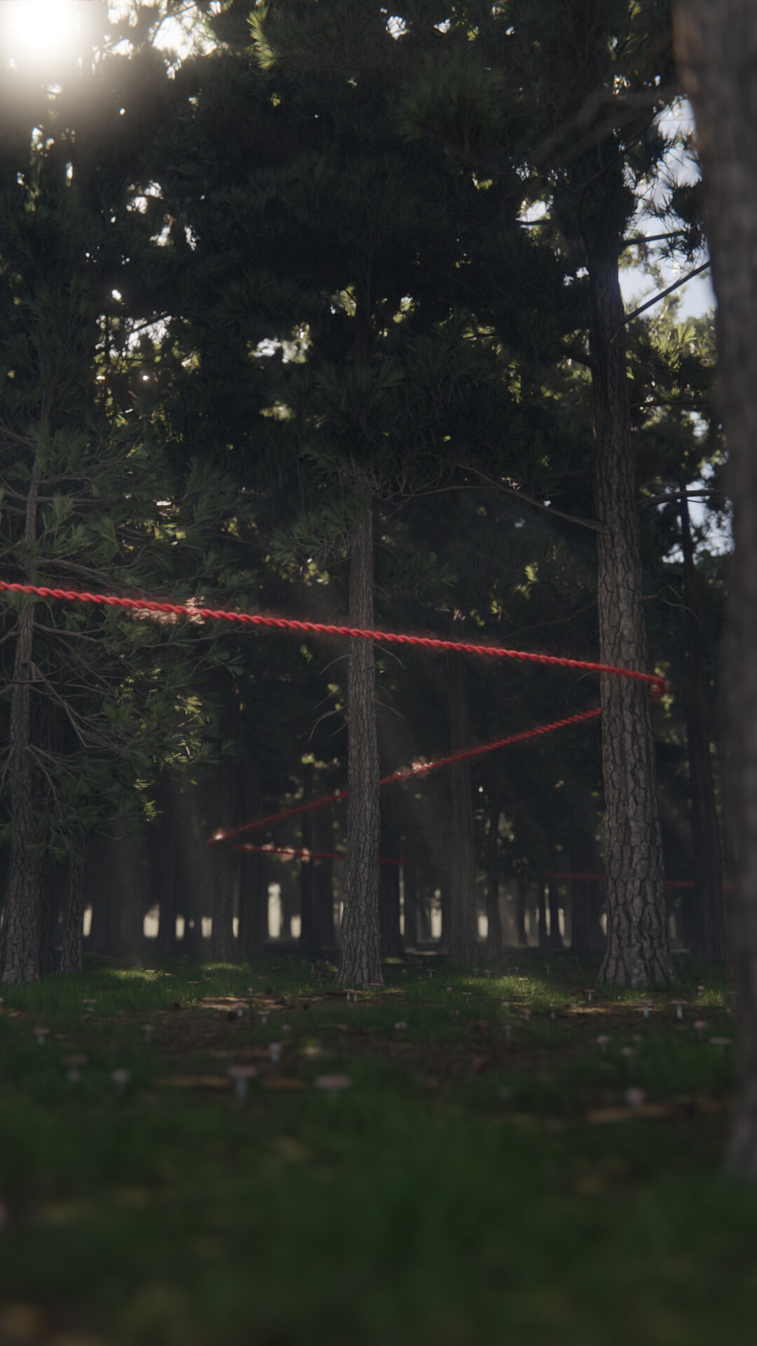 ArtStation - Thread in the Forest