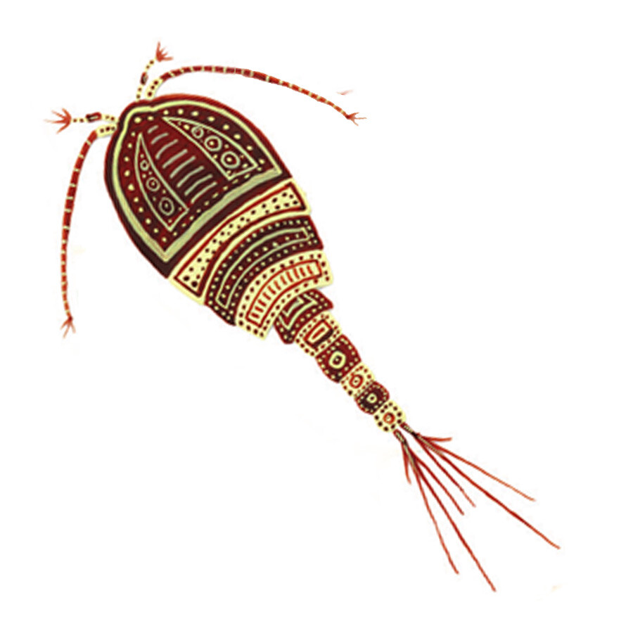 ArtStation - Ornamented Illustration of Copepod