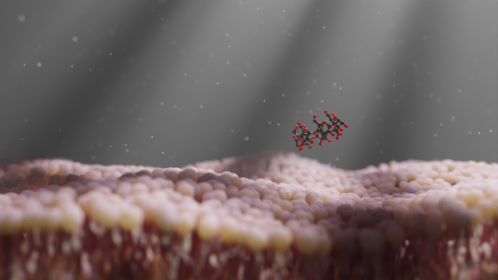 Júlio Arvellos - Beta-Cyclodextrin short