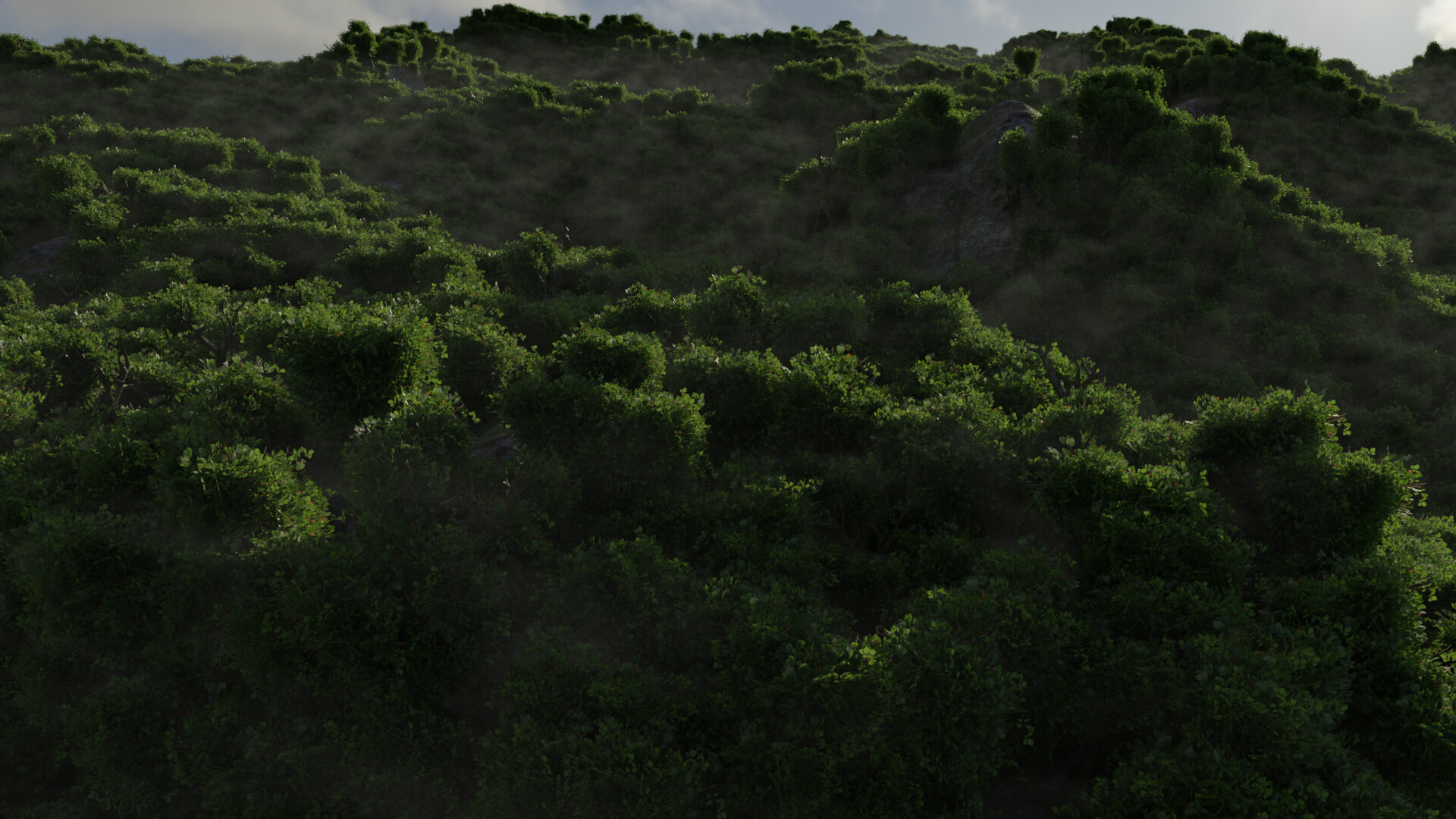 ArtStation - Forest